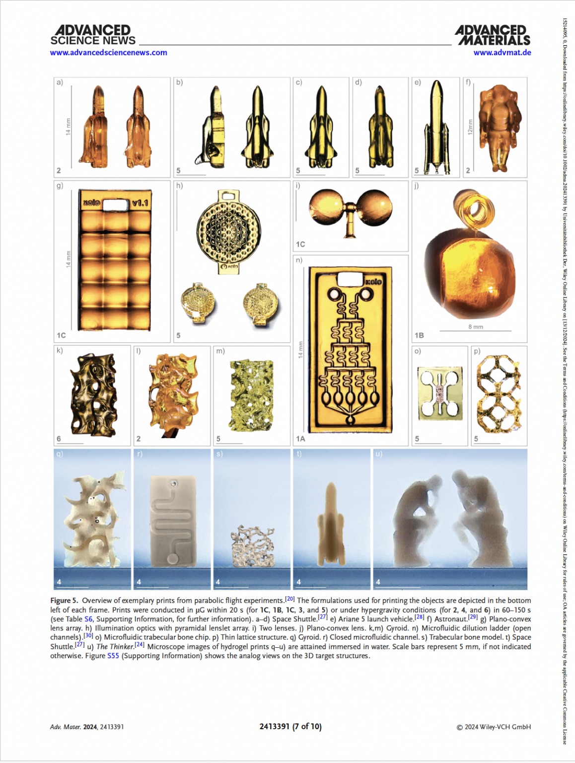 Publications – Xolo